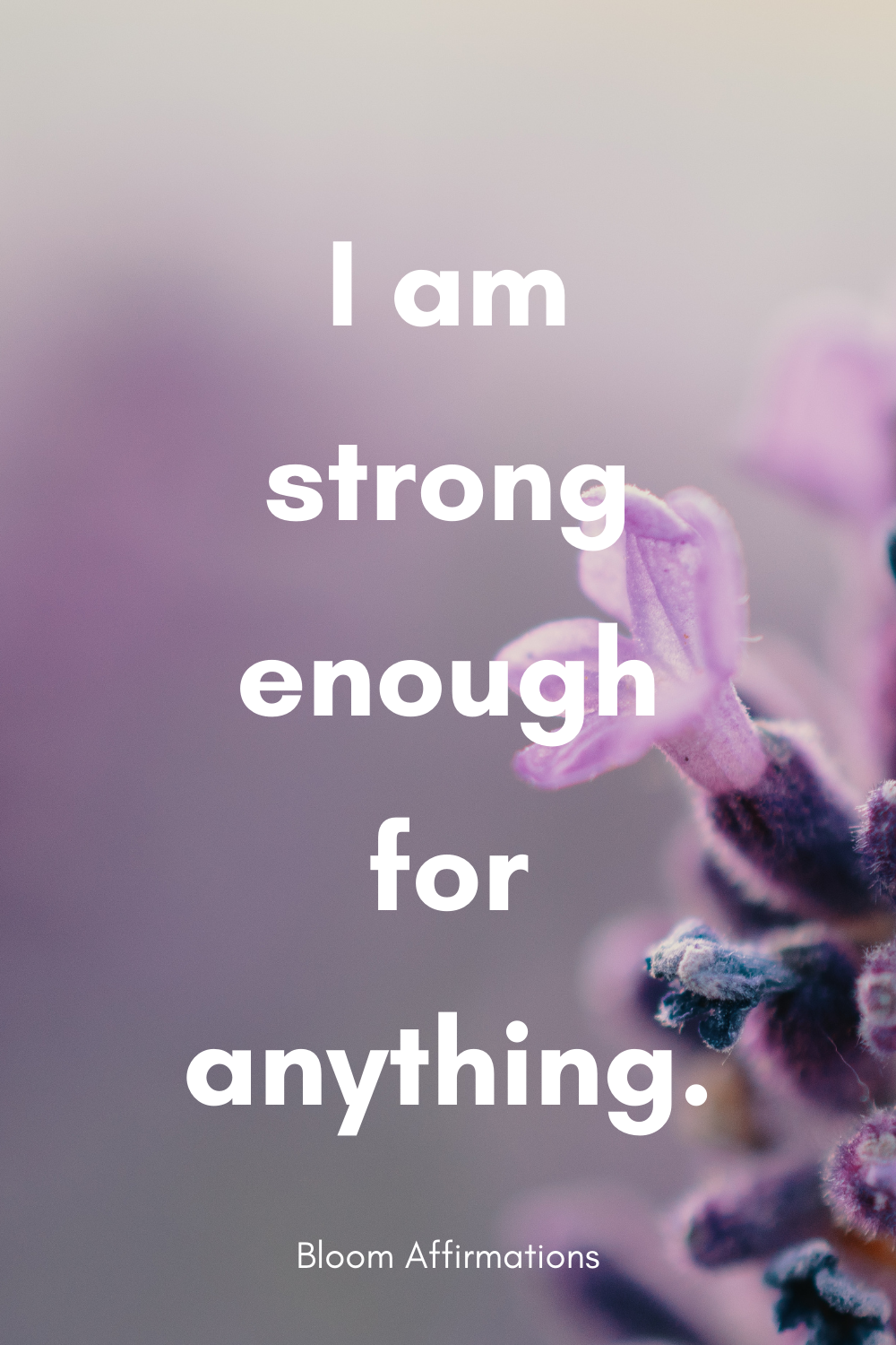 60 Inspirational Bullet Journal Quotes - Bloom Affirmations